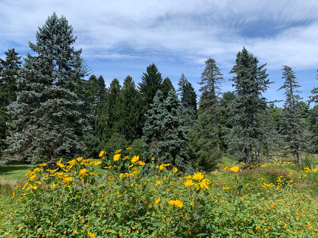 Biking the Minuteman Trail + Top 5 Lexington » Why Not Walk?